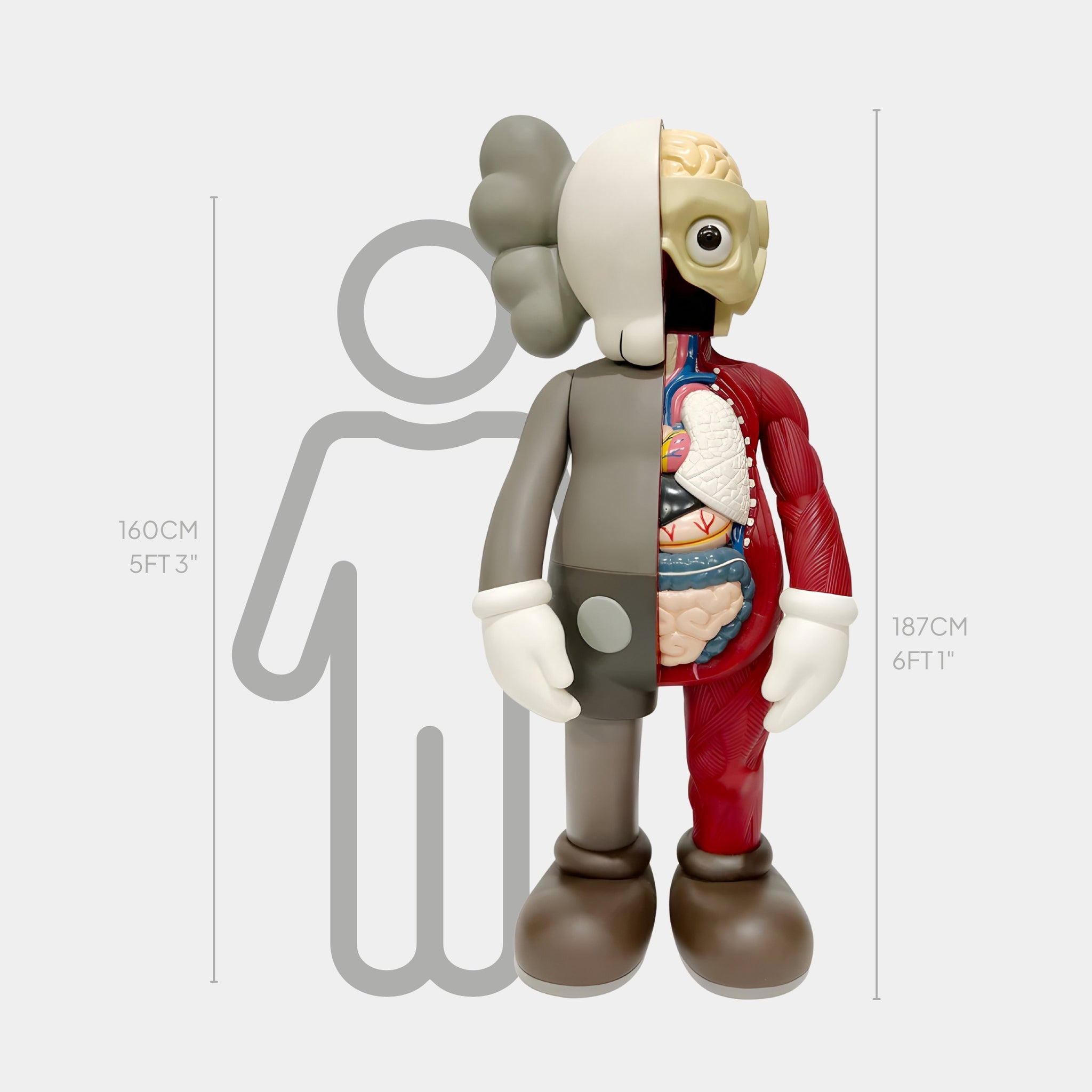 Hazelnut Brown Iconify Anatomy Sculpture - 187cm | Bold Reveal